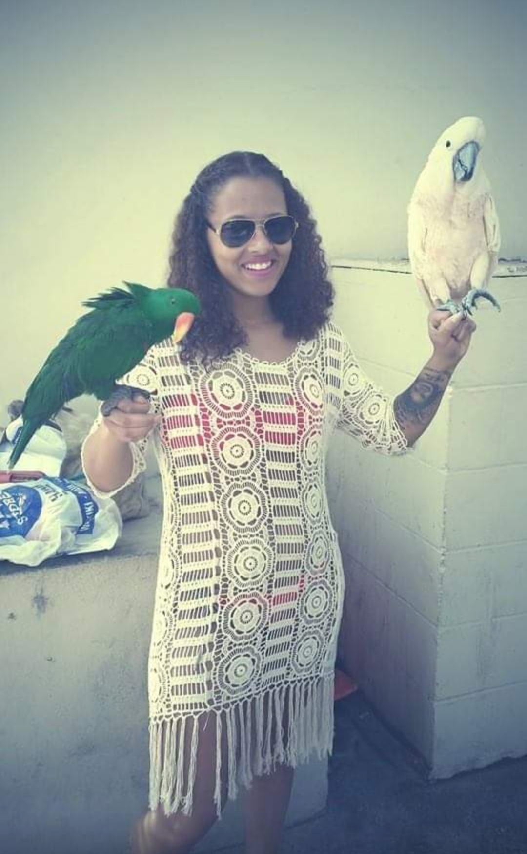 Meet Dominique Riley - Hannah Solar